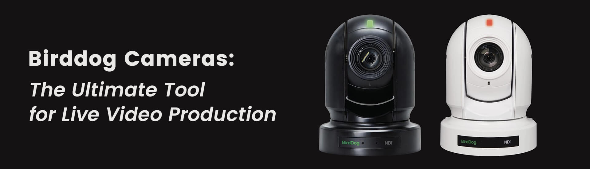 Birddog Cameras: The Ultimate Tool for Live Video Production – UBMS