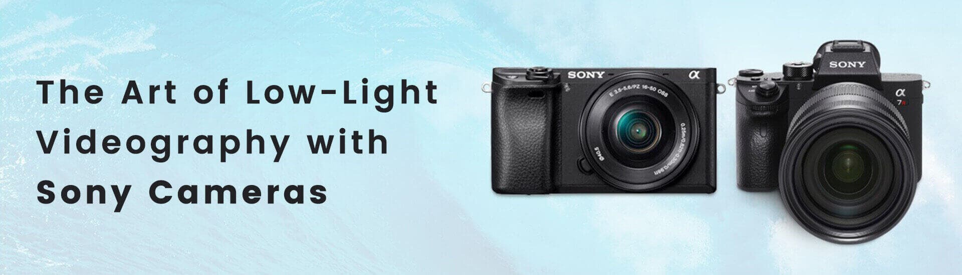 The Art of Low-Light Videography with Sony Cameras – UBMS